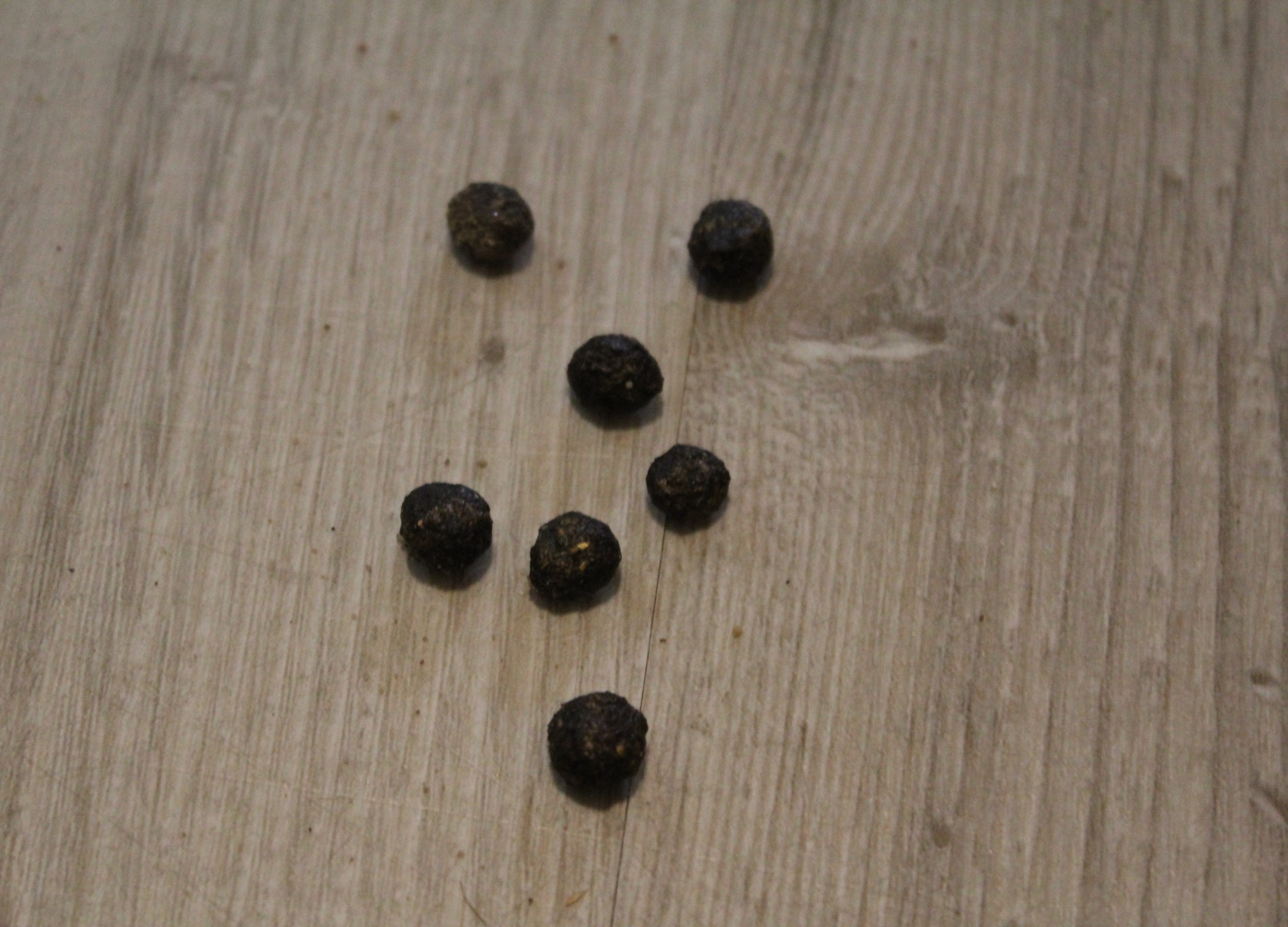 Kaninchen Kot - unbedenklich oder gefährlich? Kot-Formen